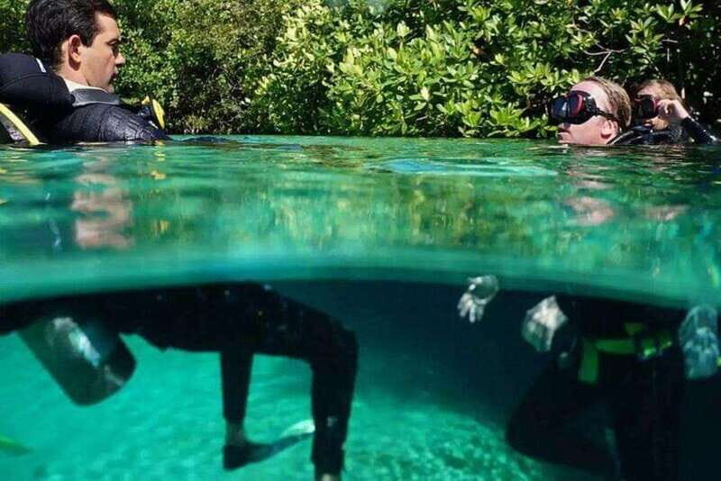 Tulum: Wonders of the Underwater World Discover Scuba Diving - An Introduction to the Experience