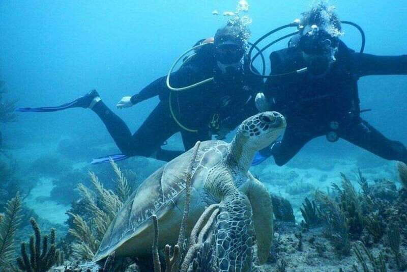 Tulum: Wonders of the Underwater World Discover Scuba Diving - The Practical Details