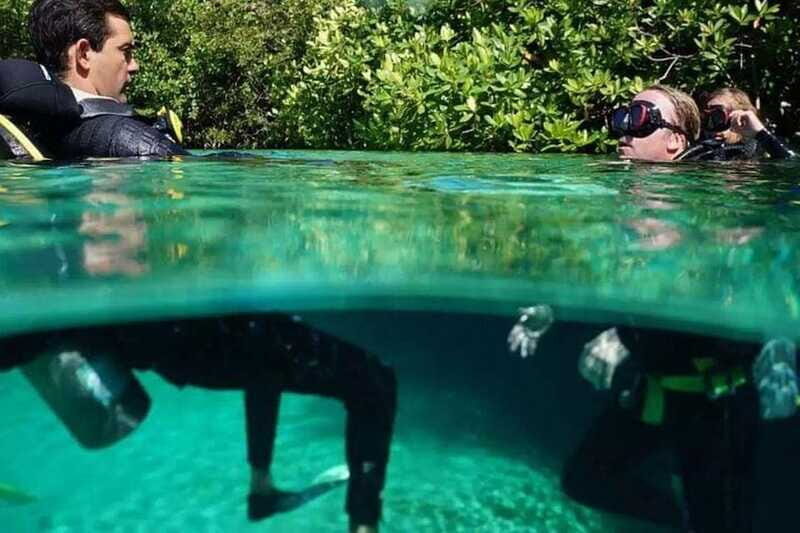 Tulum: Wonders of the Underwater World Discover Scuba Diving - Who Is This Tour Best For?
