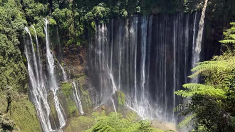 Tumpak Sewu: Private One-Day Trip from Surabaya or Malang - Cost and Value