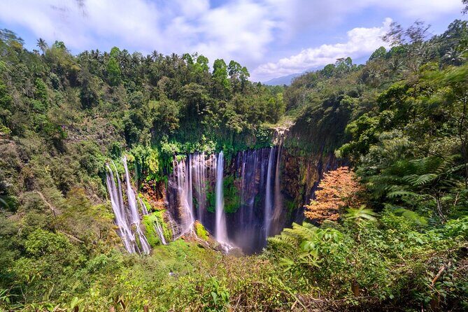 Tumpak Sewu Waterfall & Goa Tetes Private Day Tour - Assessing the Cost and Value