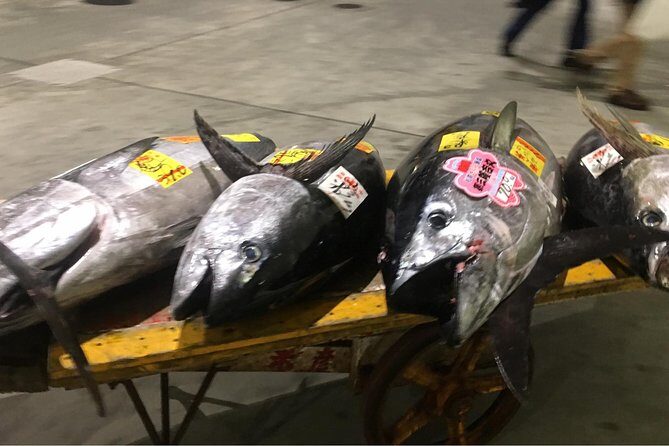 Tuna Auction and Market Tour at 'Activity Maison Kissako' - Key Points