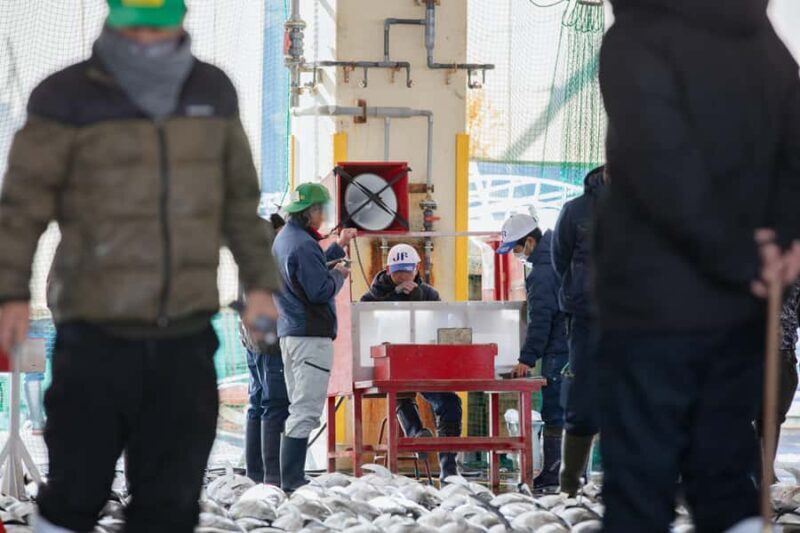 Tuna Auction Market Tour with Local Guide in Nachi-Katsuura - Key Points