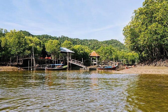 Tung Yee Peng Mangrove Forest Tour By Longtail Boat From Koh Lanta - Practical Details and Considerations