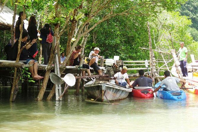 Tung Yee Peng Mangrove Forest Tour By Longtail Boat From Koh Lanta - Who Will Enjoy This Tour?