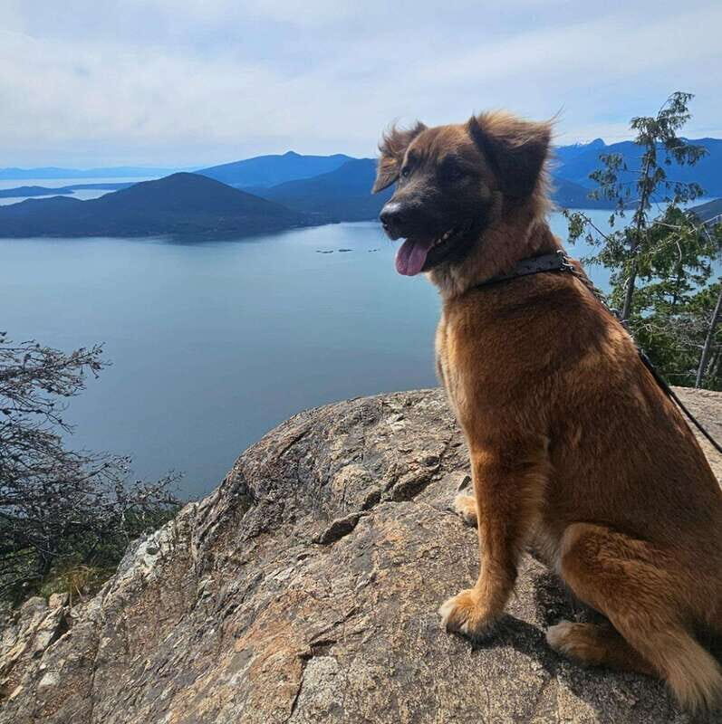 Tunnel Bluffs Hiking Day Trip- Vancouver - Summary of the Experience
