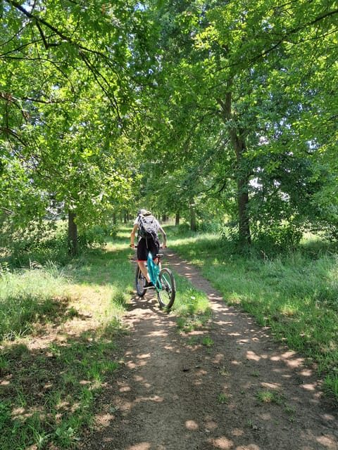 Turin: e-bike tour, Reggia di Venaria, Royal Gardens, Castle - Key Points