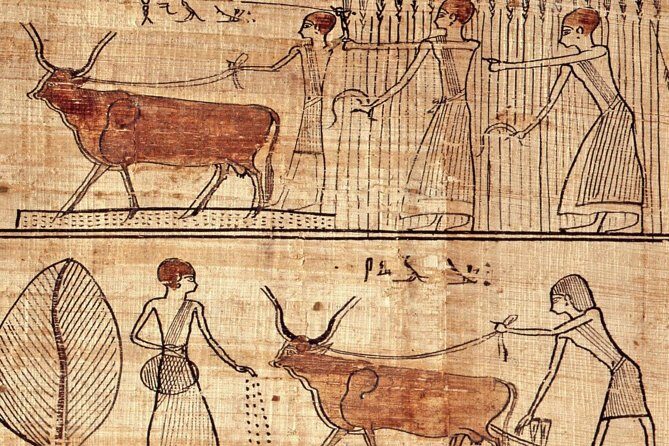 Turin Egyptian Museum Entry Ticket plus Turin Digital Audioguide - Who Is This Tour Best For?