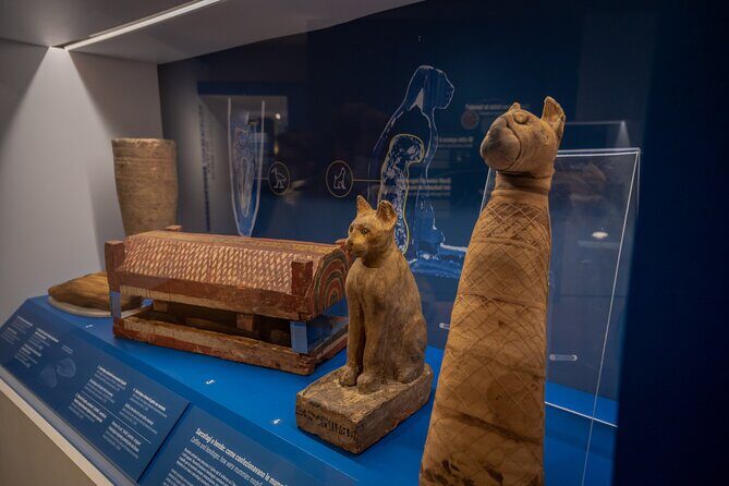 Turin: Egyptian Museum Monolingual Skip-the-Line Guided Mystery Tour,Small group - The Practical Side: Price, Group Size, and Convenience