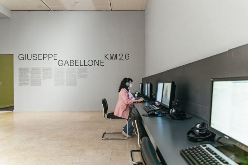 Turin: Gallery of Modern and Contemporary Art Entry Ticket - Who Will Love This Museum?