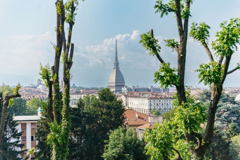 Turin: Hop-on Hop-off Bus Tour with 24 or 48-Hour Ticket - What You Can Expect from the Tour