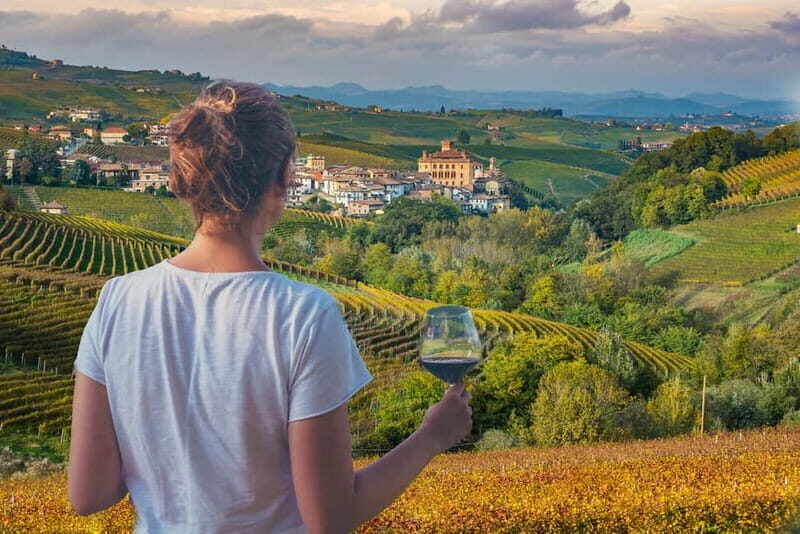 Turin: Langhe Wine Tour with Private Transfers and Lunch - An Overview of the Tour Experience