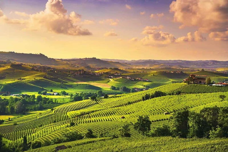 Turin: Langhe Wine Tour with Private Transfers and Lunch - The Value of this Experience