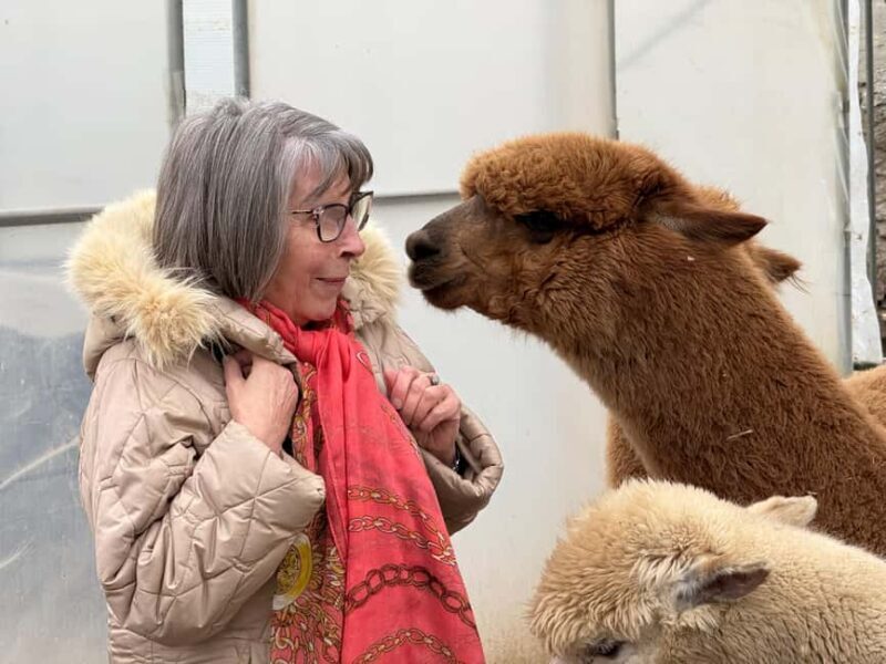 Turin: meeting with alpacas on an educational farm with an expert tour guide - Practical Details and Tips