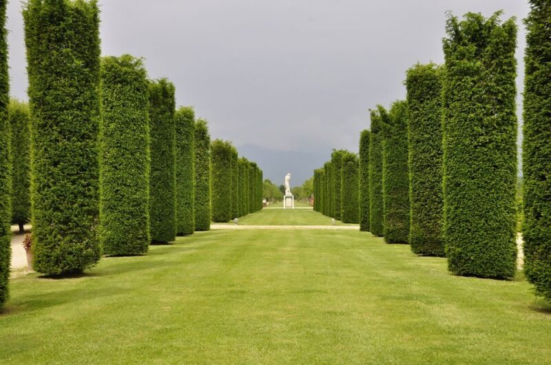 Turin: Palace of Venaria Guided Tour - Is it Worth the Price?