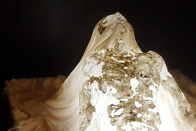 Turin: Private Tour on The Path of The Holy Shroud - Insights from Reviews