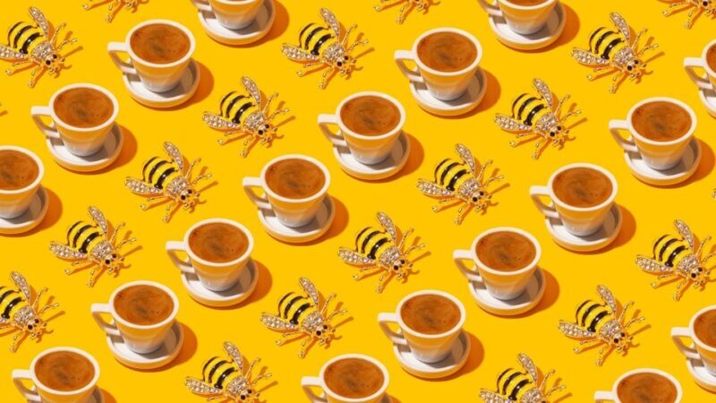 Turkish Coffee Fortune Ceremony - Key Points