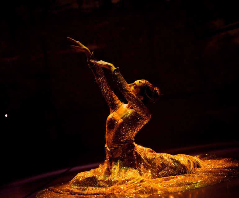 Turkish Dance Show at Hodjapasha Cultural Centre in Istanbul - Who Should Attend?