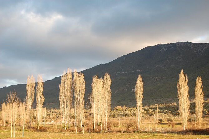 Turkish Villages and Local Life from Izmir - What to Expect from the Tour