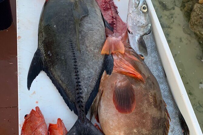 Turks And Caicos 4 Hours Fishing Experience - The Bottom Line: Is It Worth It?