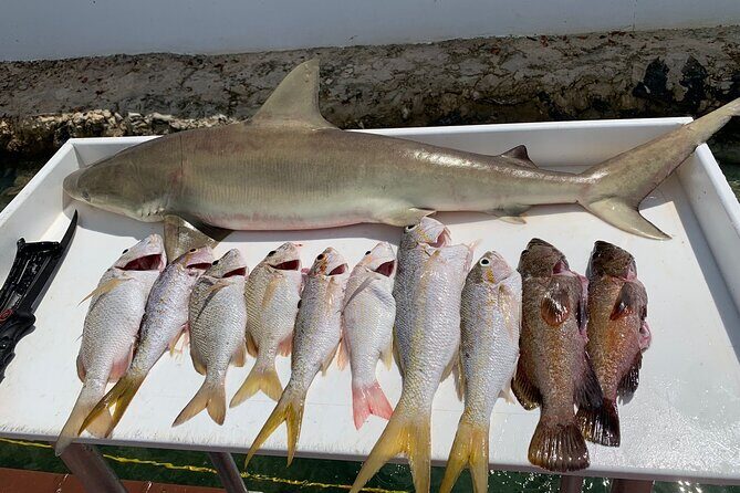 Turks And Caicos 4 Hours Fishing Experience - FAQs