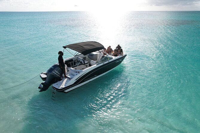 Turks and Caicos Island Snorkeling Adventure - Authentic Feedback and Insights