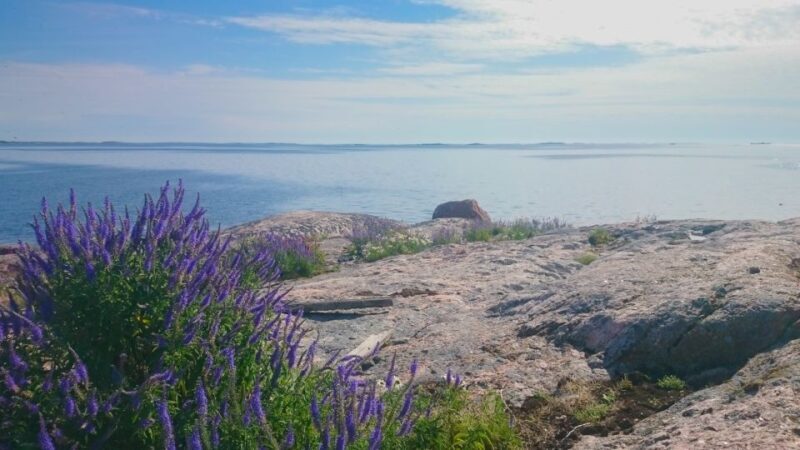 Turku Archipelago: Sea Kayaking Day Tour - Introduction: Why a Sea Kayaking Tour in the Turku Archipelago?