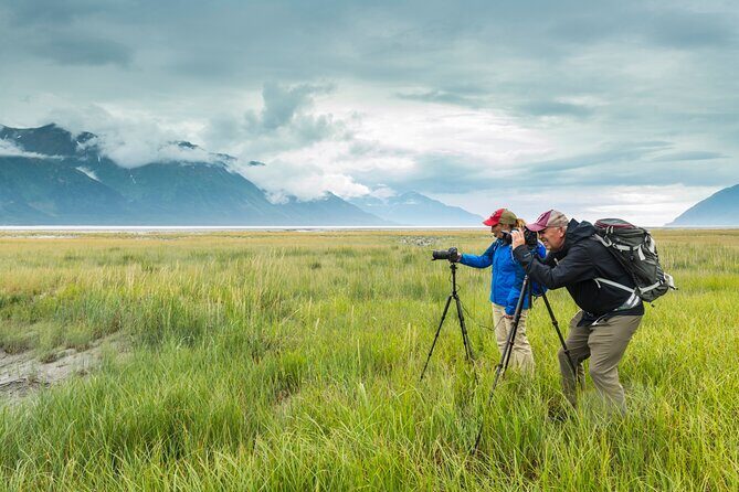 Turnagain Arm Highlights Photo Tour - Exploring the Turnagain Arm Highlights Photo Tour in Depth