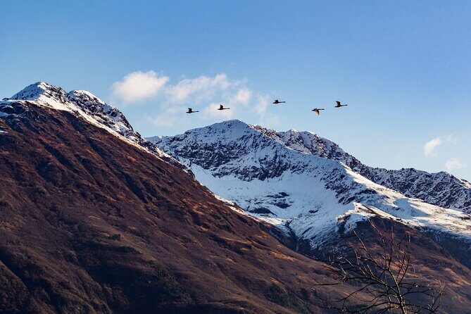 Turnagain Arm Sightseeing Experience and Wildlife Tour - Frequently Asked Questions