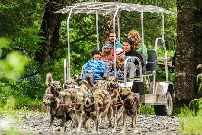 Turning Heads Kennel Dogsledding Experience & Tour - Setting the Scene: From Seward to the Kennel