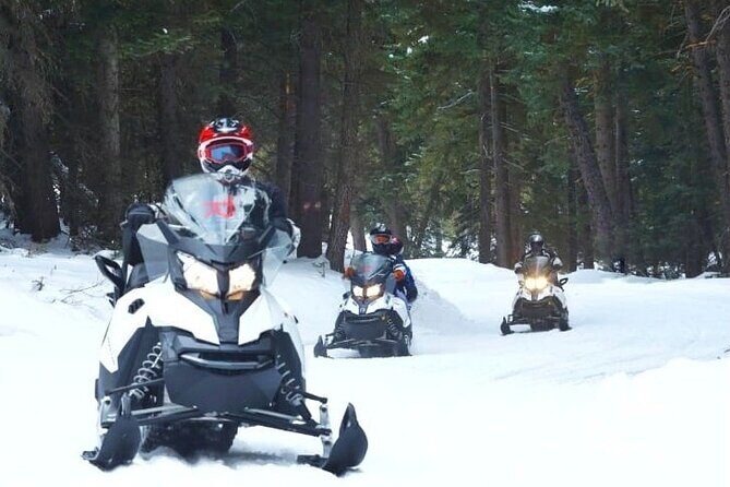 Turpin Meadow Ranch Snowmobiling in Jackson Hole - Authentic Reviews and What They Reveal