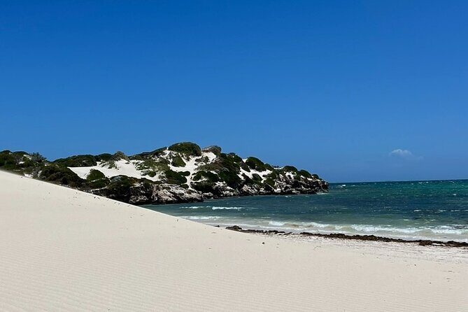 Turquoise Coast and Pinnacles Desert Private day Tour from Perth - The Sum Up