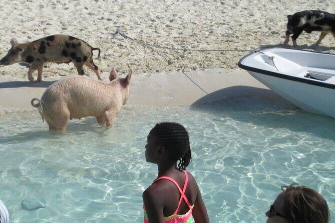 Turquoise Experience -Exuma Cays -Southern Exuma Private Charter - The Sum Up