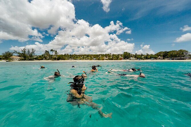 Turtle and Shipwreck adventure on 57 ft catamaran - The Heart of the Tour: What to Expect