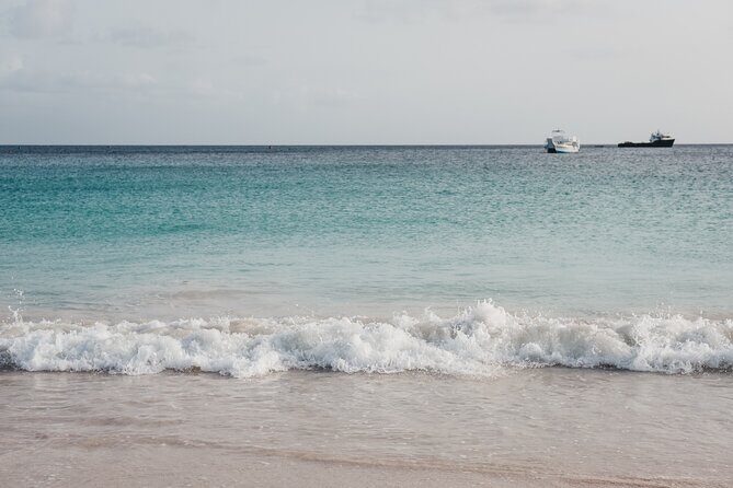 Turtle and Shipwreck Snorkel Private Tour in Barbados - The Itinerary in Detail