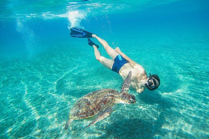 Turtle and Shipwreck Snorkel Private Tour in Barbados - FAQ
