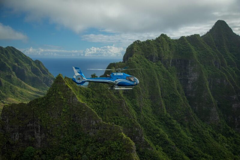 Turtle Bay: North Shore Helicopter Tour - Who Would Love This Experience?