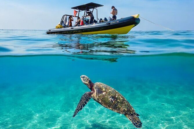 Turtle Canyon Snorkel Adventure - Small Group 6 Passengers - The Experience and Itinerary in Detail