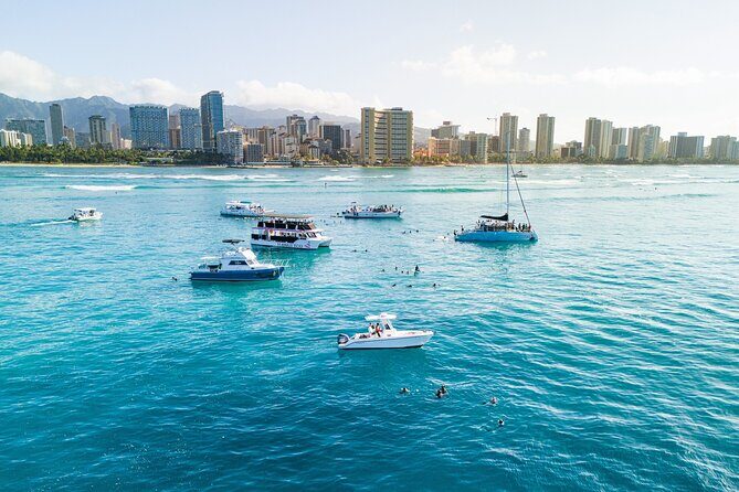 Turtle Canyon Snorkel in Waikiki, Oahu Semi Private - The Ethical Approach and Marine Conservation