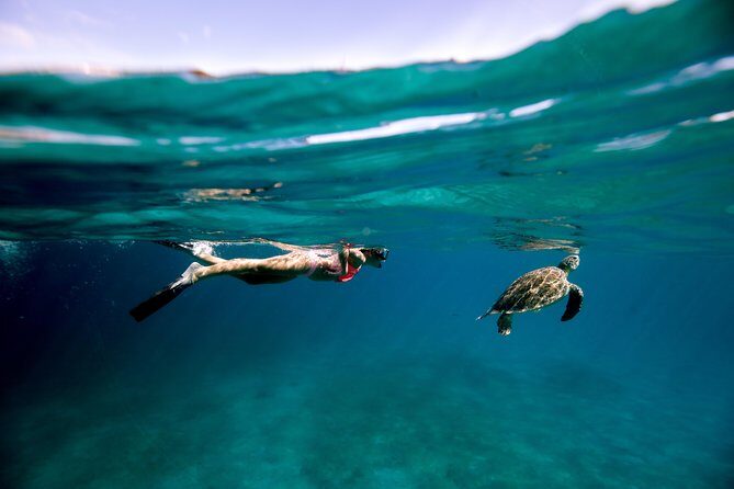 Turtle Cove Catamaran Snorkel and Sail at Little Buck Island STT - Who Will Love This Tour?