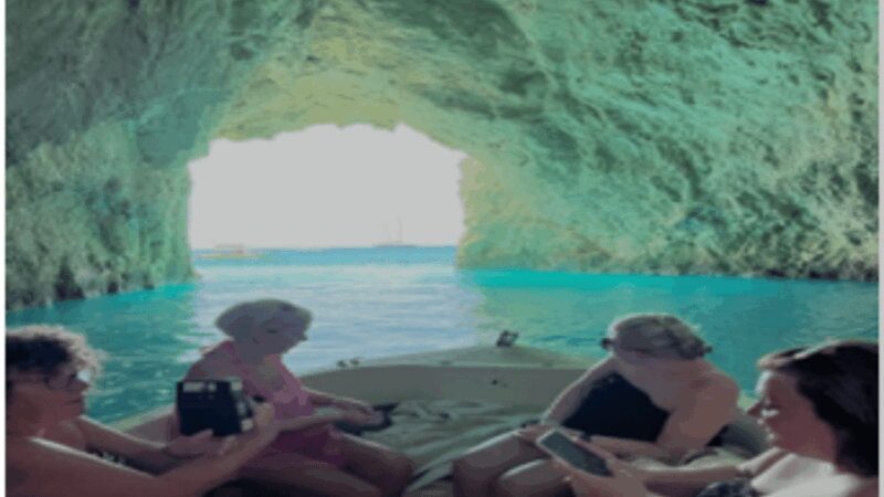 Turtle Cruise from 9 am or 12 noon or 3 pm for 3 hours - Key Points