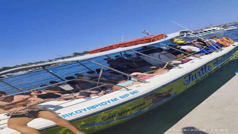 Turtle Cruise from 9 am or 12 noon or 3 pm for 3 hours - The Balance of Pros and Cons