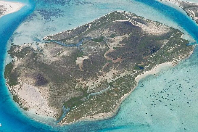 Turtle Eco Tour on Stand-Up Paddleboards or Kayaks into the National Marine Park - The Views and Environment