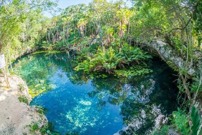 Turtle Encounter Private Tour  Swim with Sea Turtles & Cenote - What Sets This Tour Apart?