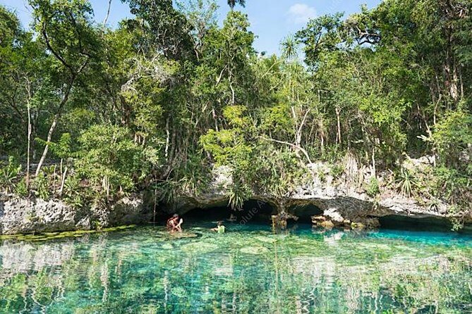 Turtle Encounter Private Tour  Swim with Sea Turtles & Cenote - FAQs