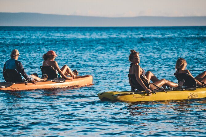 Turtle Gardens West Maui Snorkel Tour - What Travelers Say