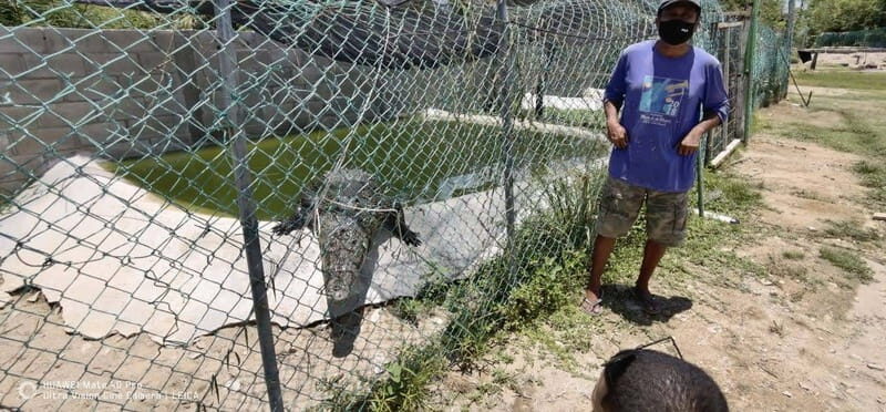 *Turtle Hatching + 3 Palos Lagoon Boat Ride & Crocs Farm - FAQ