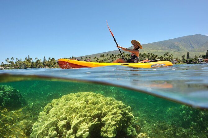 Turtle Reef Kayak Tour of Makena, Maui - Returning and Refreshments