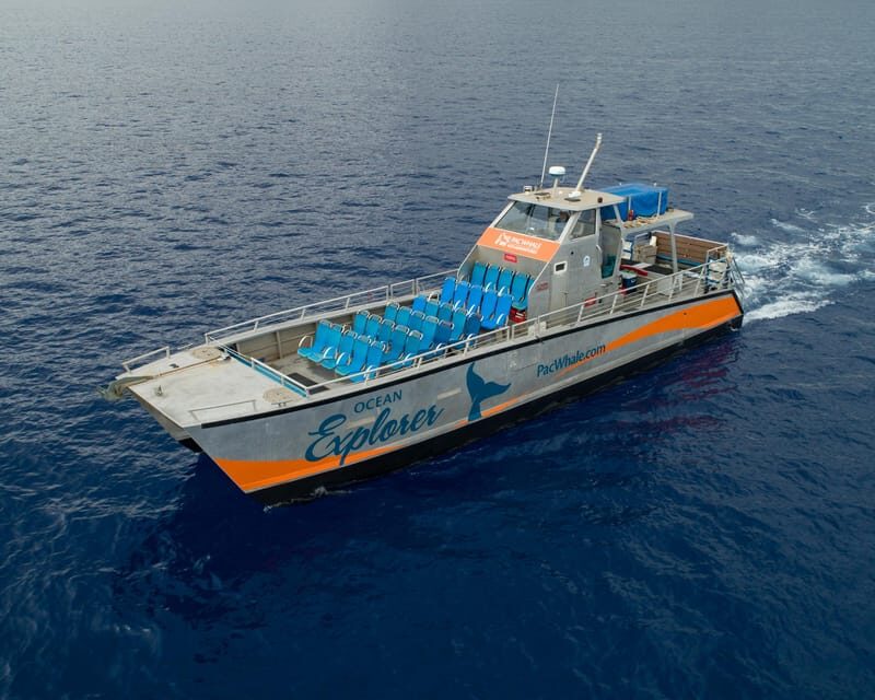 Turtle Reef Snorkel Adventure - Why Choose the Turtle Reef Snorkel Adventure?