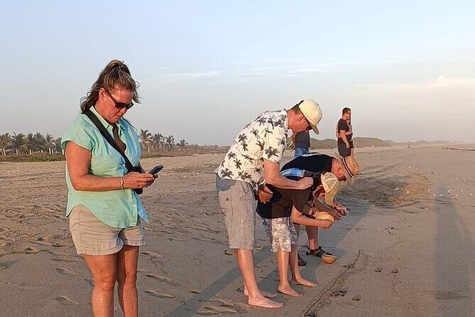 Turtle Release at Escobilla Beach - Final Thoughts